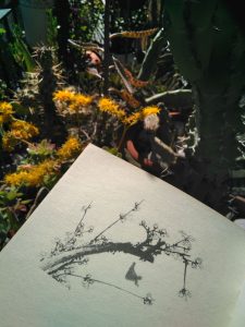 Leonato y la taxonomía de la vida cotidiana – Lunario